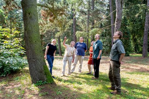 Climate Change How Trees Adapt NAWA