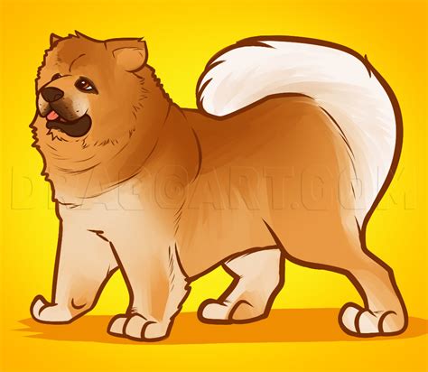 How To Draw A Chow Chow Chow Chow Drawing Step By Step By Dawn DragoArt