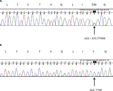 Sanger Sequencing Sanger Sequencing Of The Egfr Point Mutation In A