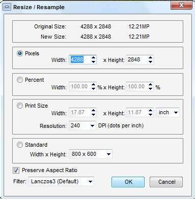 Imaging Tips FastStone Resize Resample Button