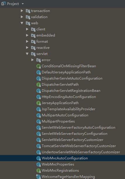 springboot默认配置原理：以webmvcautoconfiguration为例 csdn博客
