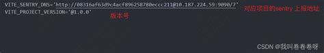 vite vue3 sentry 前端监控 集成 sentry vue3 csdn博客