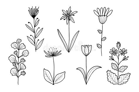 Hand Drawn Flowers And Branches Doodle Vector Illustration Stock