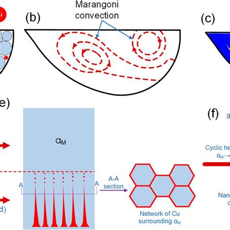 Microstructure And Processing Related Defects A Columnar Grain