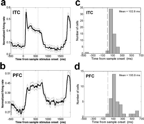 A Comparison Of Primate Prefrontal And Inferior Temporal Cortices During Visual Categorization Pmc