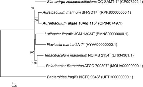 Maximum Likelihood Phylogenetic Tree Based On Concatenated 400 Protein
