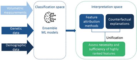 [논문 리뷰] A Comprehensive Interpretable Machine Learning Framework For