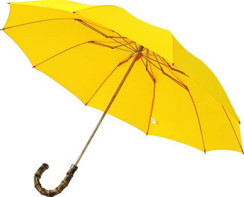 Umbrella PNG