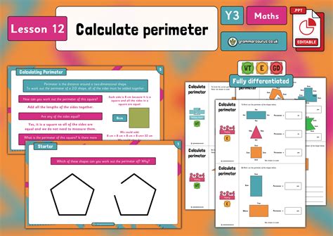 Year Length And Perimeter Calculate Perimeter Lesson Grammarsaurus