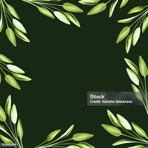 배경에 분리된 신선한 세이지가 있는 수채화 프레임 미용 제품 및 식물학 세트 화장품 및 의학의 세부 사항 디자이너 스파 장식 엽서 포장지 스크랩북 표지 초대장 포스터 및