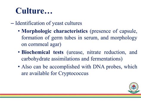 12 Fungal Identification Methods Newppt