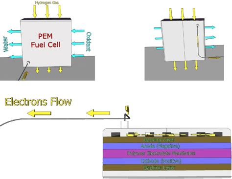 The Model Of Pemfc Stack Download Scientific Diagram
