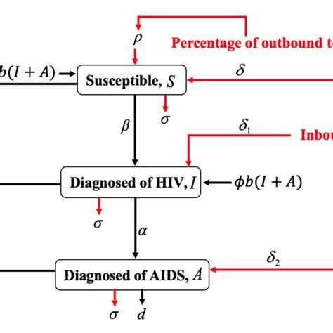 Schematic Representation Of The Compartmental Model For Assessing The