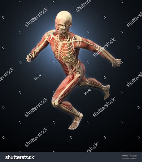 Skeletal Tracking Images Stock Photos Vectors Shutterstock