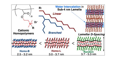 Microphase Separation Of Cationic Homopolymers Bearing Alkyl Ammonium Salts Into Sub 4 Nm