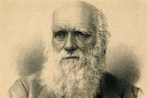 达尔文都不知道的问题：为何开花植物存在7000万年的进化空白？ 植物 化石 进化 新浪新闻