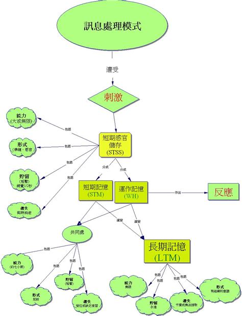 概念圖記憶處理系統 Wikiteamwork Fandom