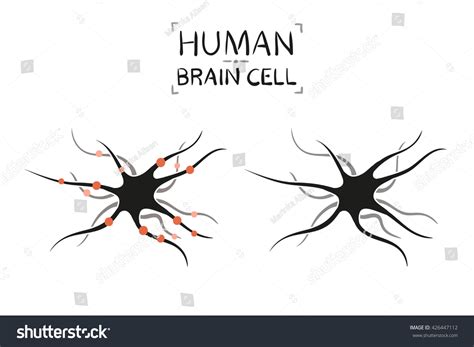 Brain Cell Vector Illustration Isolated On Stock Vector Royalty Free