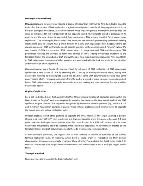 Dna Replication Machinery