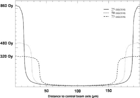 Monte Carlo Simulation Of Dose Distribution Of The Two Central Download Scientific Diagram
