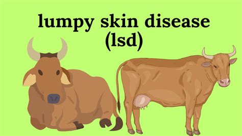 लम्पी आजाराने मृत जनावरांच्या पशुपालकांना अर्थसहाय्य देण्याची प्रक्रिया सुरू मंत्री राधाकृष्ण