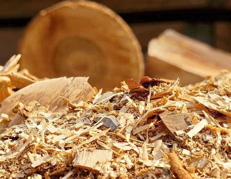 Wood Species Identification Using Artificial Intelligence Ai Fraunhofer Itwm