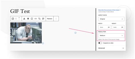Why Is Your Animated GIF Not Working In WordPress 3 Solutions White Canvas
