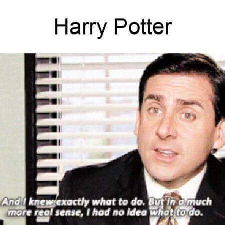 For Our Harry Potter Fans 😂 Gotten Via Facebook Dm For Credit