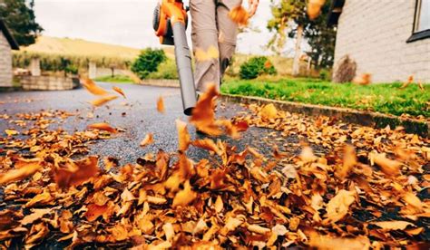 Exploring The Varied Purposes Of Clearing And Cleaning