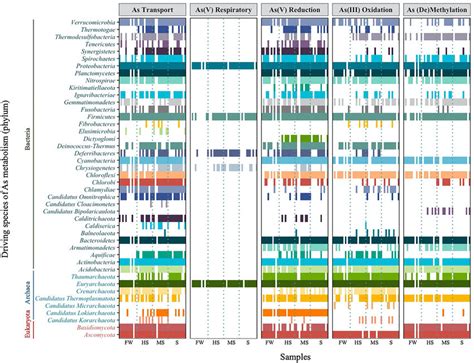 Microbial Species Driving As Metabolism In Microbial Communities In