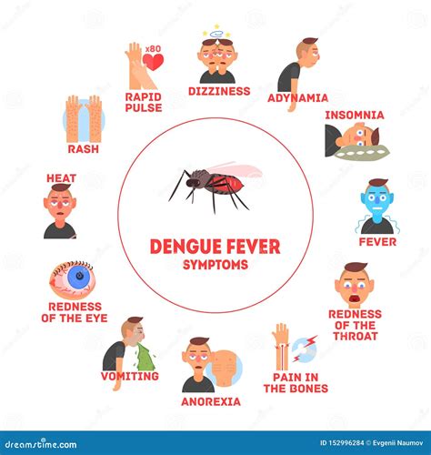 Dengue Fever Symptoms Information Banner Template Vector Illustration