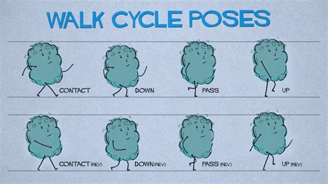Walk Cycle Poses