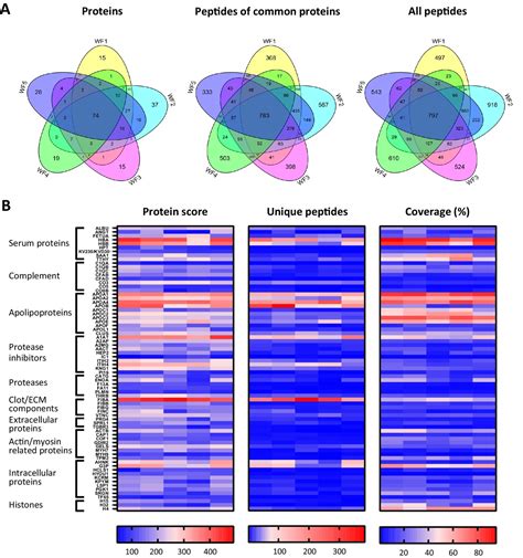 5 Subsets In Venn Diagrams BradleyOrlaigh