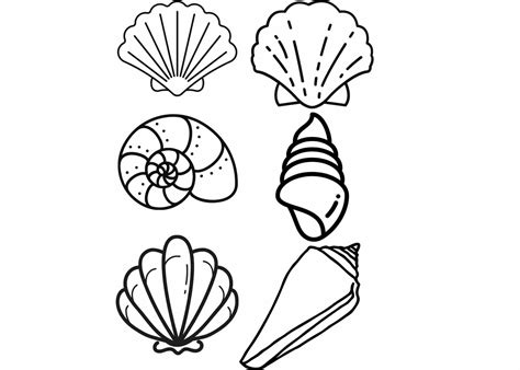 Seashell Stencils Printable