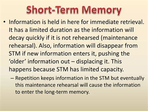 A Level Psychology Multi Store Memory Model New Spec PPTX
