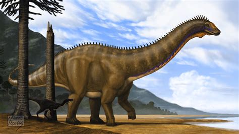 «apatosaurus Hd Wallpapers