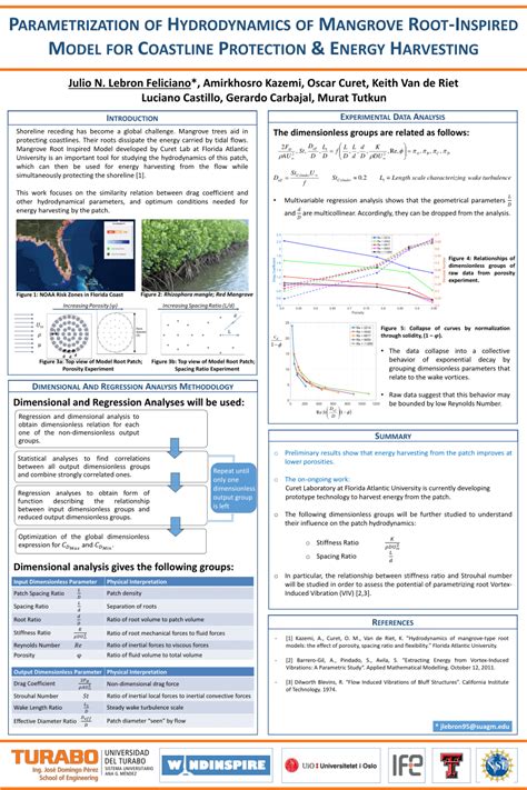 pdf parametrization of hydrodynamics of mangrove root inspired model