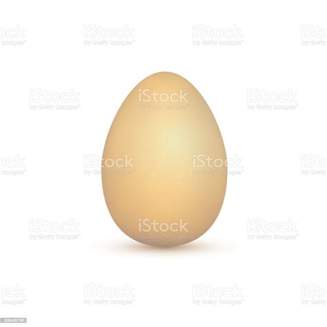 One Chicken Egg On A White Background Stock Illustration Download
