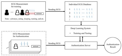 sensors free full text ecg identification for personal