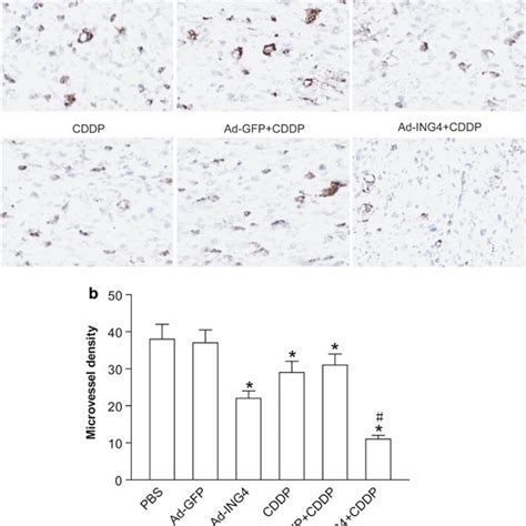 Synergistic Inhibition Of Tumor Angiogenesis In Vivo A Download