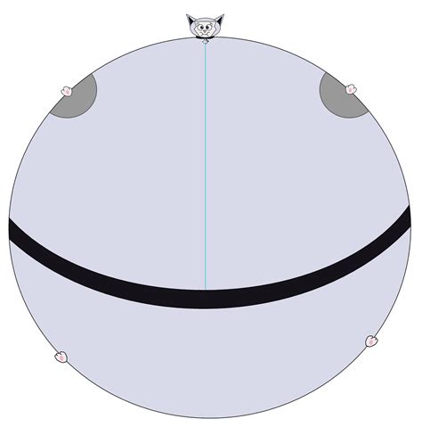 Rory Cat Pack Overinflation By Lahmom2000 On Deviantart