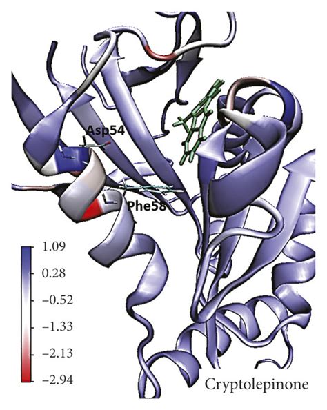 Binding Conformation Predicted From Molecular Docking Was Generally