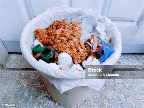 가정용 쓰레기통이있는 쓰레기통 쓰레기 통 쓰레기통 쓰레기통 쓰레기 쓰레기 바구니 쓰레기통 쓰레기 폐기물 이미지 그림 스톡 사진 보기 쓰레기에 대한 스톡 사진 및 기타 이미지