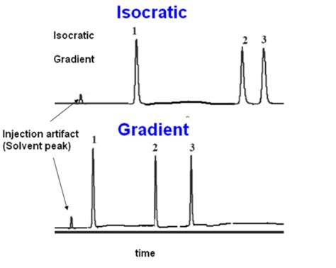 Chromatography Flashcards Quizlet