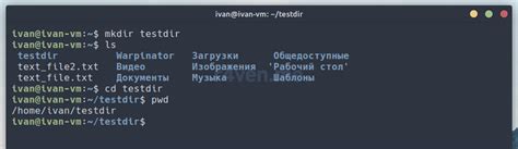 Командная строка Linux работа с файлами команды Touch Mkdir Cp Mv Rm Вороний блог