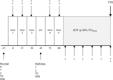 Schematic Representation Of The Experimental Protocol Tte Time To