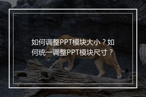 Ppt标题如何复制？复制ppt标题方法详解 8104办公软件