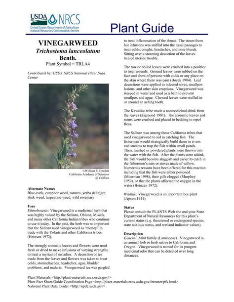 Plant Guide Usda Plants Database Us Department Of Agriculture