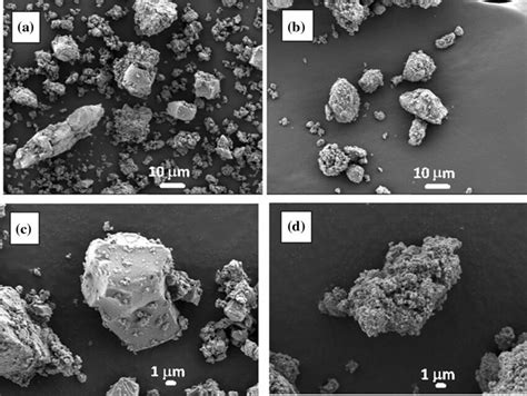 sem observations of α tcp powders milled 15 min a c ht αtcp b d lt