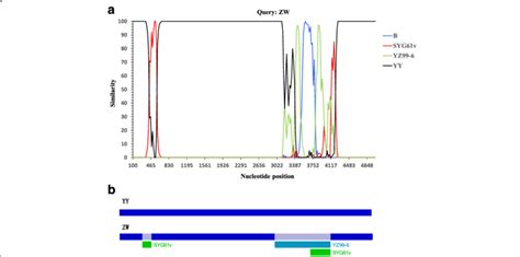 Recombination Analysis Using Simplot 351 And Rdp 341 A Similarity